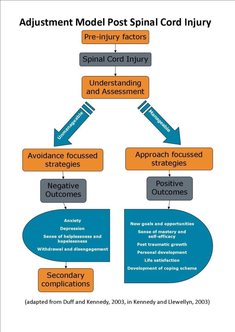 Inclusive education and spinal cord injury - Back Up